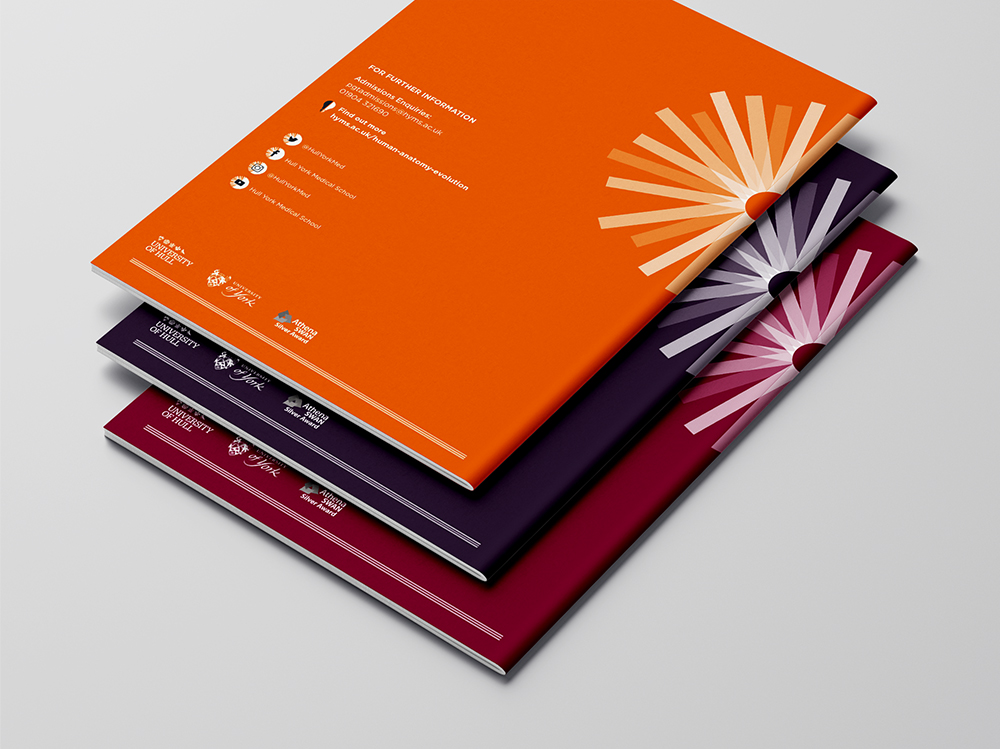 A new creative brand identity | Standing apart in a crowded marketplace